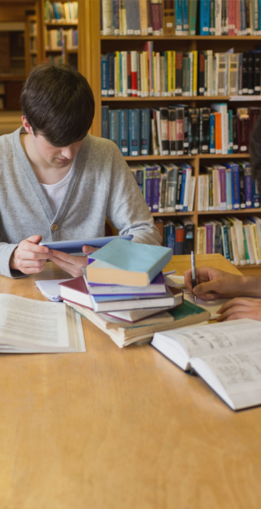 Études universitaires en LLSH : Cursus et formation